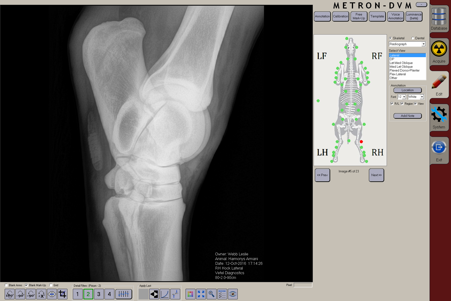 M8-EQhock-4k-2 | Vetel - Innovative Imaging for Veterinarians