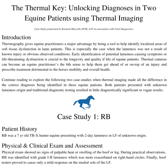 Thermography Case Study: Two Equine Patients | Vetel - Innovative Imaging for Veterinarians