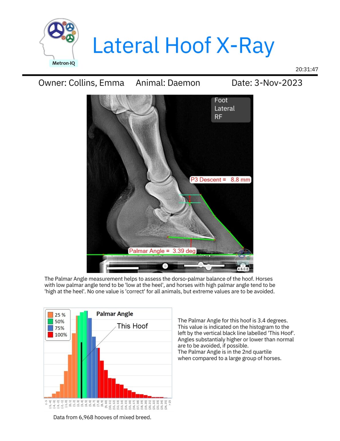 Intelligent Digital Radiography For Equine Veterinarians | Vetel ...